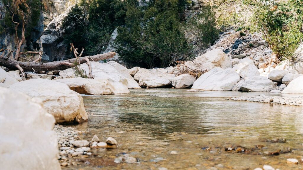 Best Bass Fishing Spots You’ve Never Tried