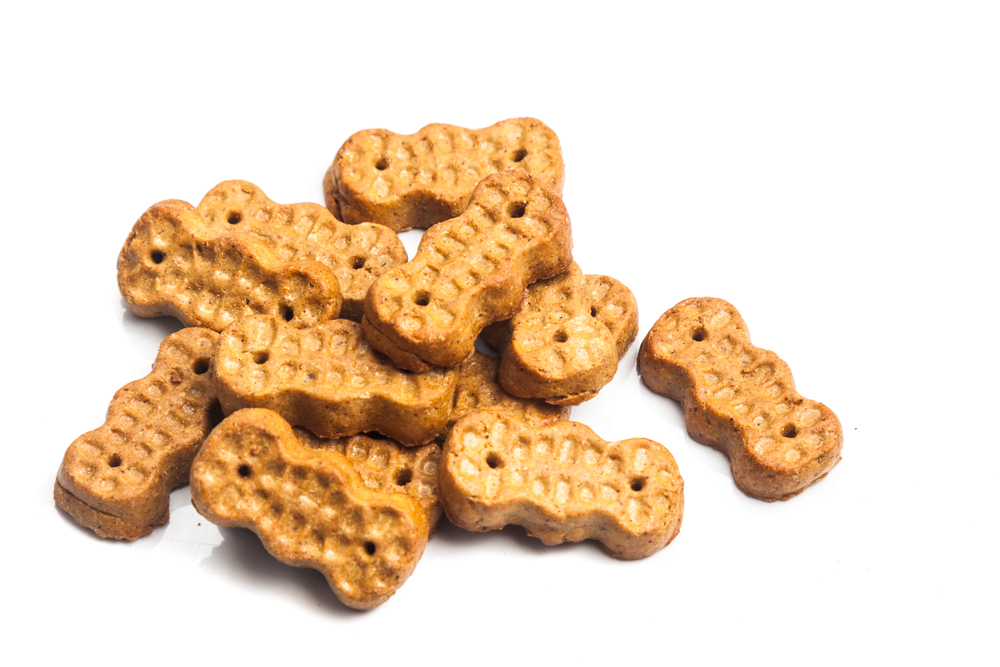 16 Homemade Treats Your Dog Will Beg For