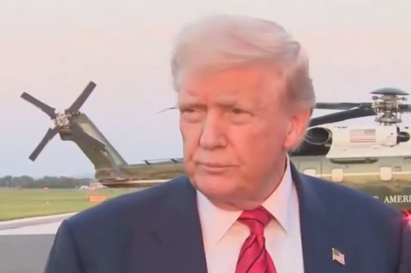 CNN halted for breaking Donald Trump announcement as fans brutally ...