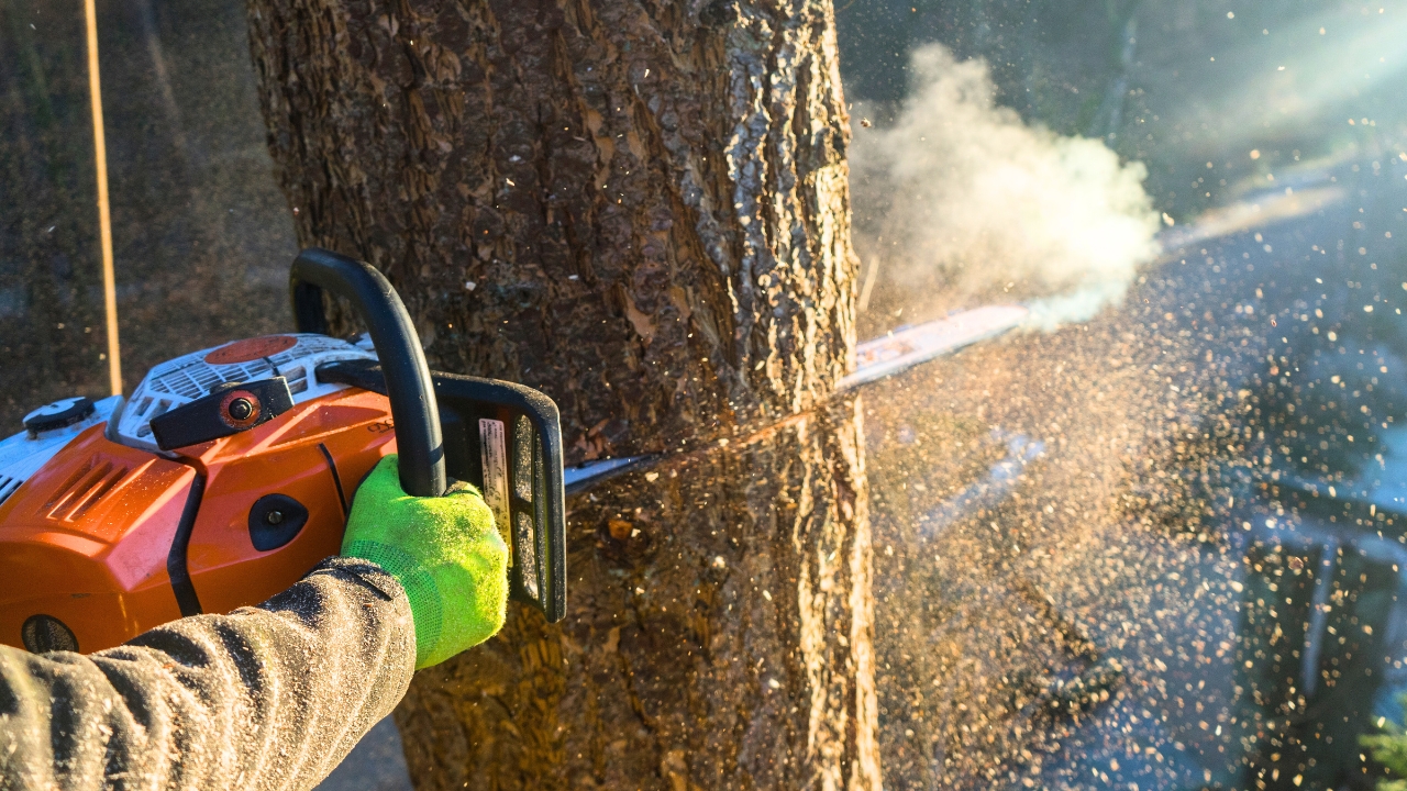 7 Gas-Powered Tools That Are Still Worth Owning