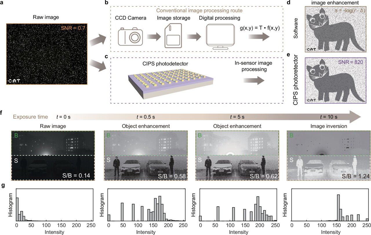 Ionic-electronic photodetector brings in-sensor vision closer to reality