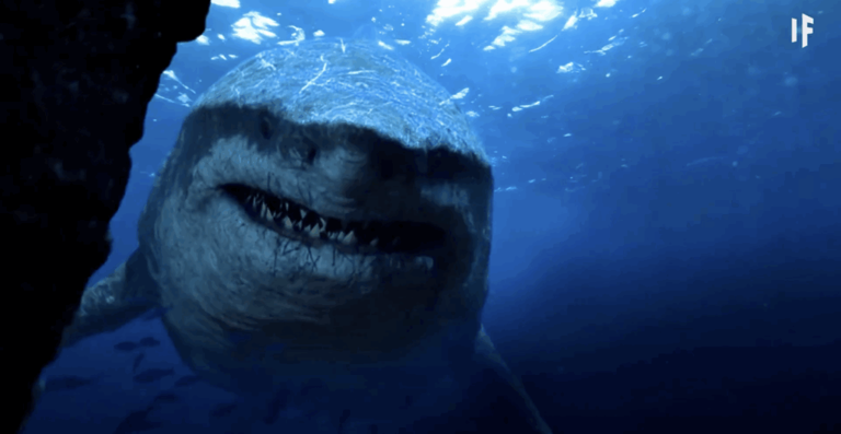 What Was Earth Like in Cenozoic era?