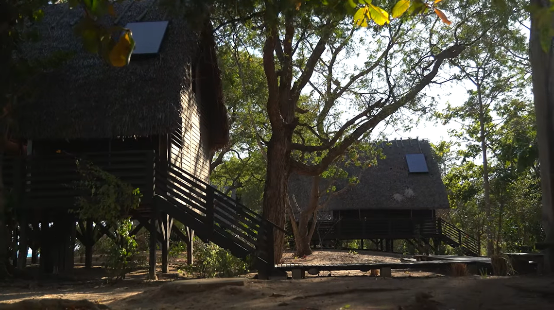 ‘Dwarf'-like creature found sleeping near Madagascar hotel. It's a new ...