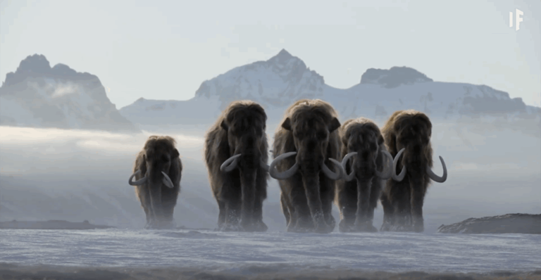 What Was Earth Like in Cenozoic era?