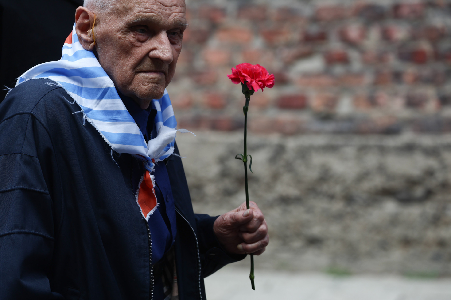 80 years on: Remembering the liberation of Auschwitz