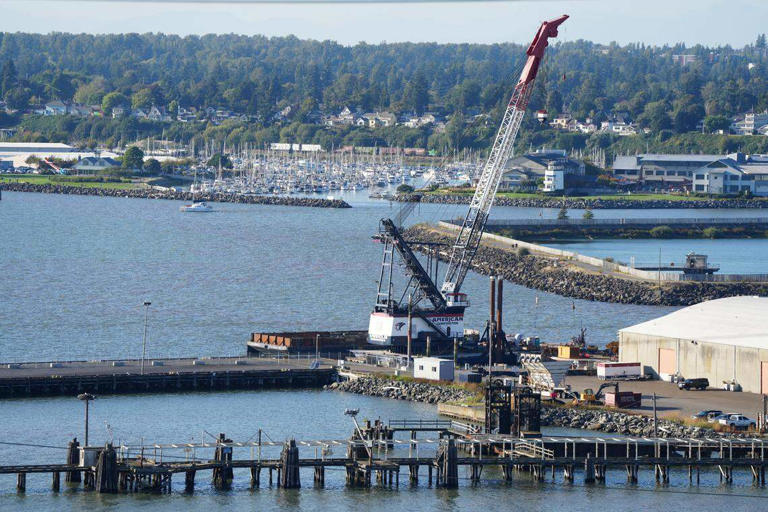 State auditor criticizes Port of Bellingham over contract selection process
