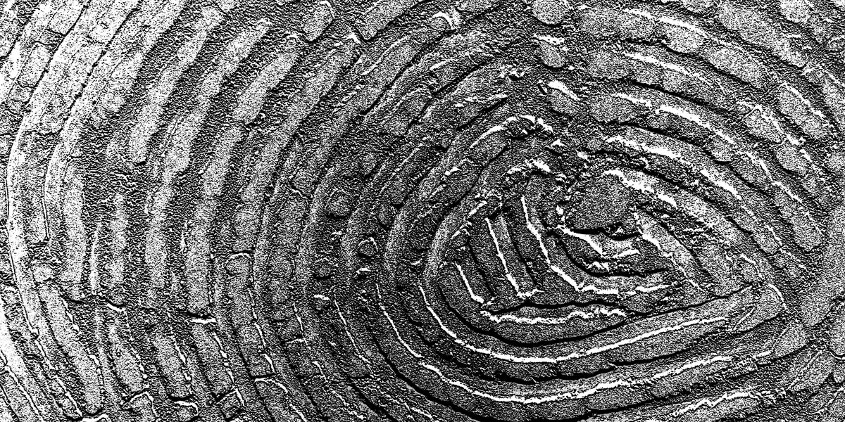 Archaeologists Found a 2,600-Year-Old Fingerprint of a Biblical Figure