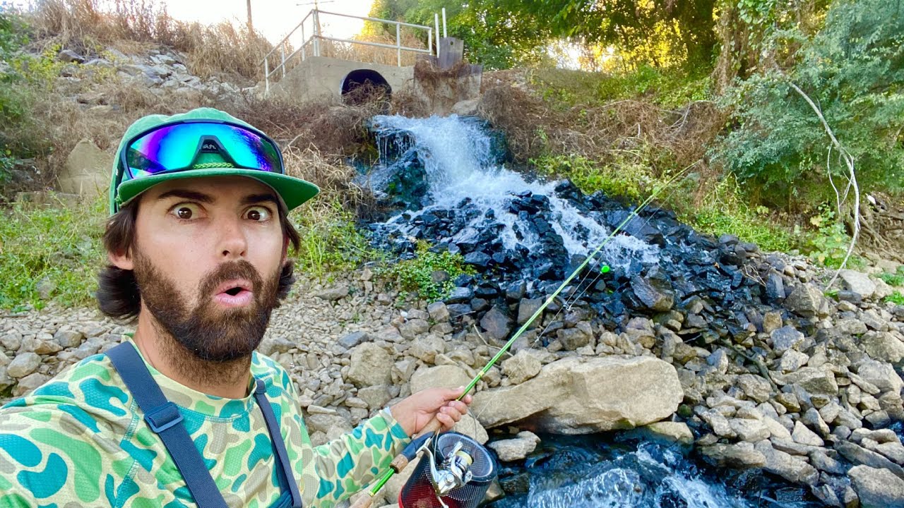 Underground spillway pipe triggers feeding frenzy discovery