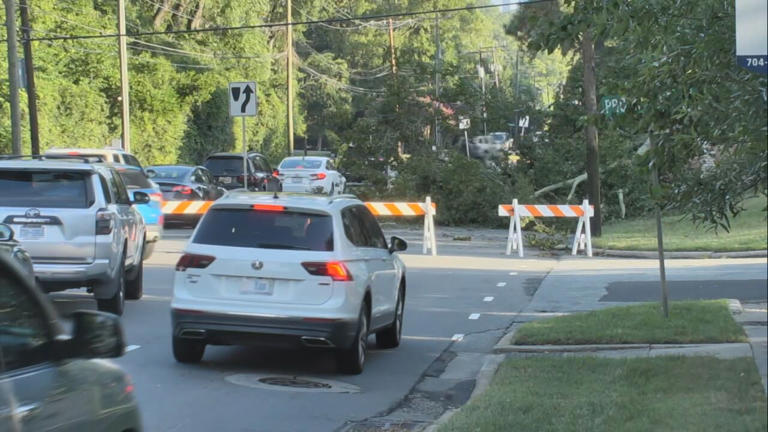 Downed tree blocks south Charlotte road