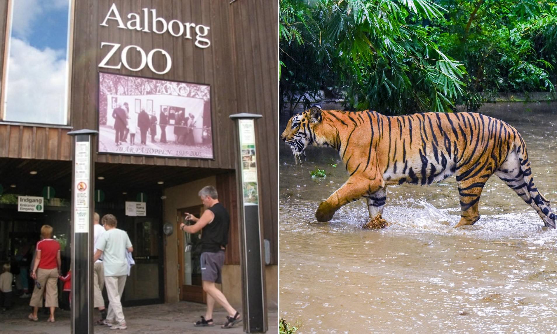 Zoo asks pet owners to donate their animals - so they can be fed to ...