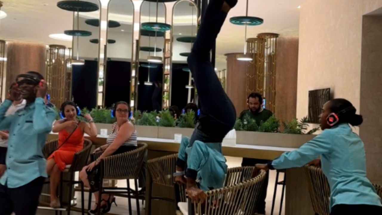 Woman gets adorable lunch companion as cheeky goose demands food at park