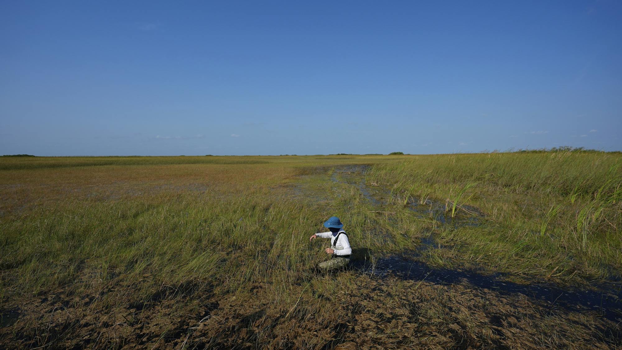 National parks are key conservation areas for wildlife and natural ...
