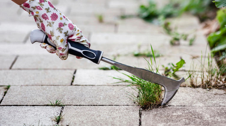 The Surefire Way To Keep Weeds From Growing Between Pavers