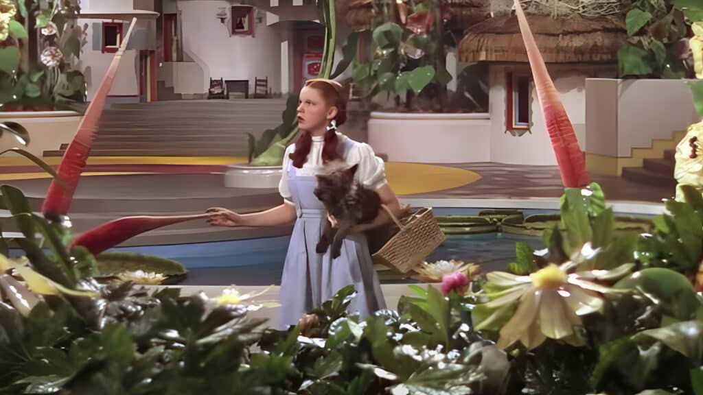 25 Misquoted Movie Lines Everyone Gets Wrong