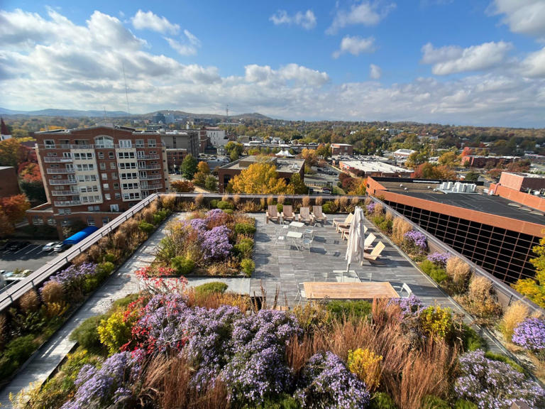 Why 'Living Roofs' Are the Future of Elegant, Eco-Conscious Design