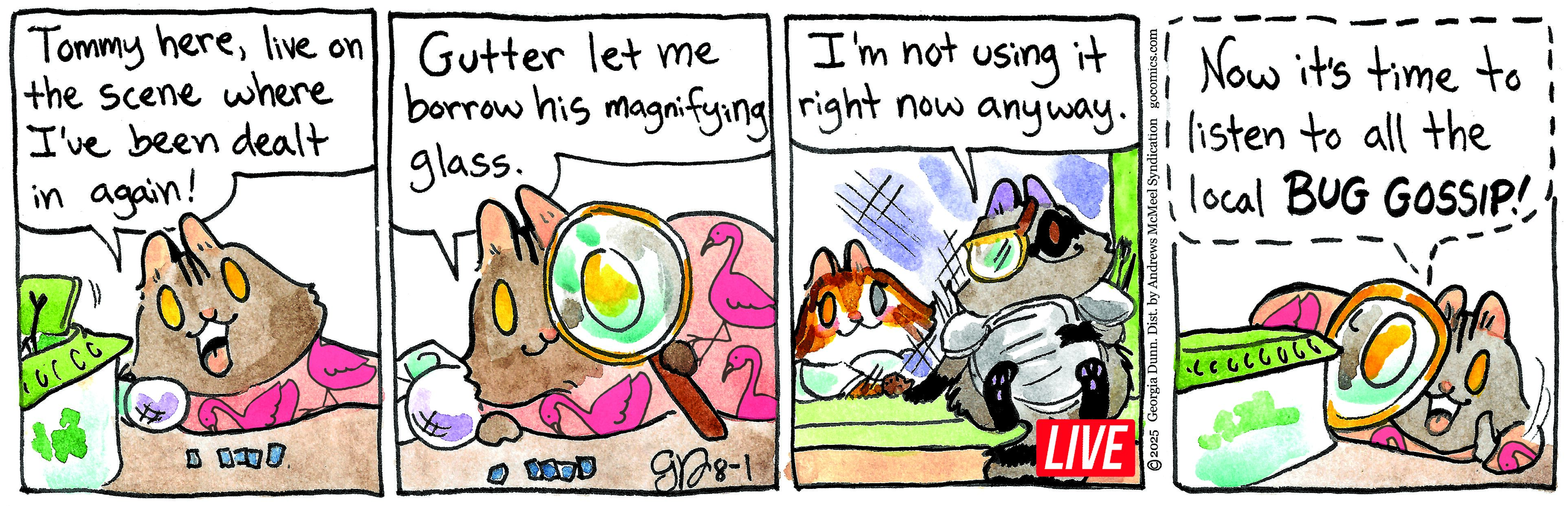 Breaking Cat News by Georgia Dunn