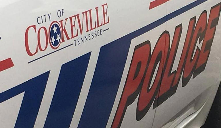 Cookeville man arrested after Google alerts police about downloaded ...
