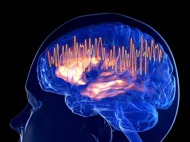 PTSD drug discovery may help patients let go of trauma