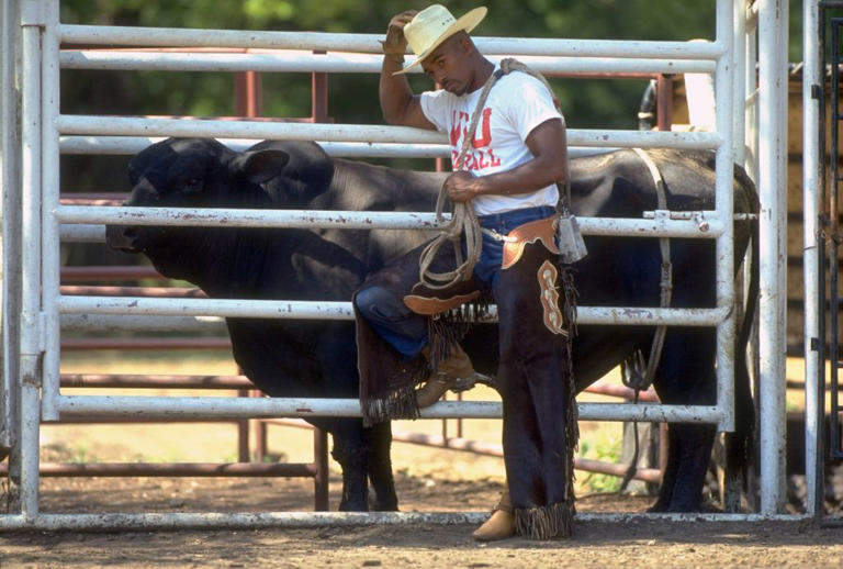 Ex-NFL player convicted in Oklahoma of dog-fighting-related charges ...