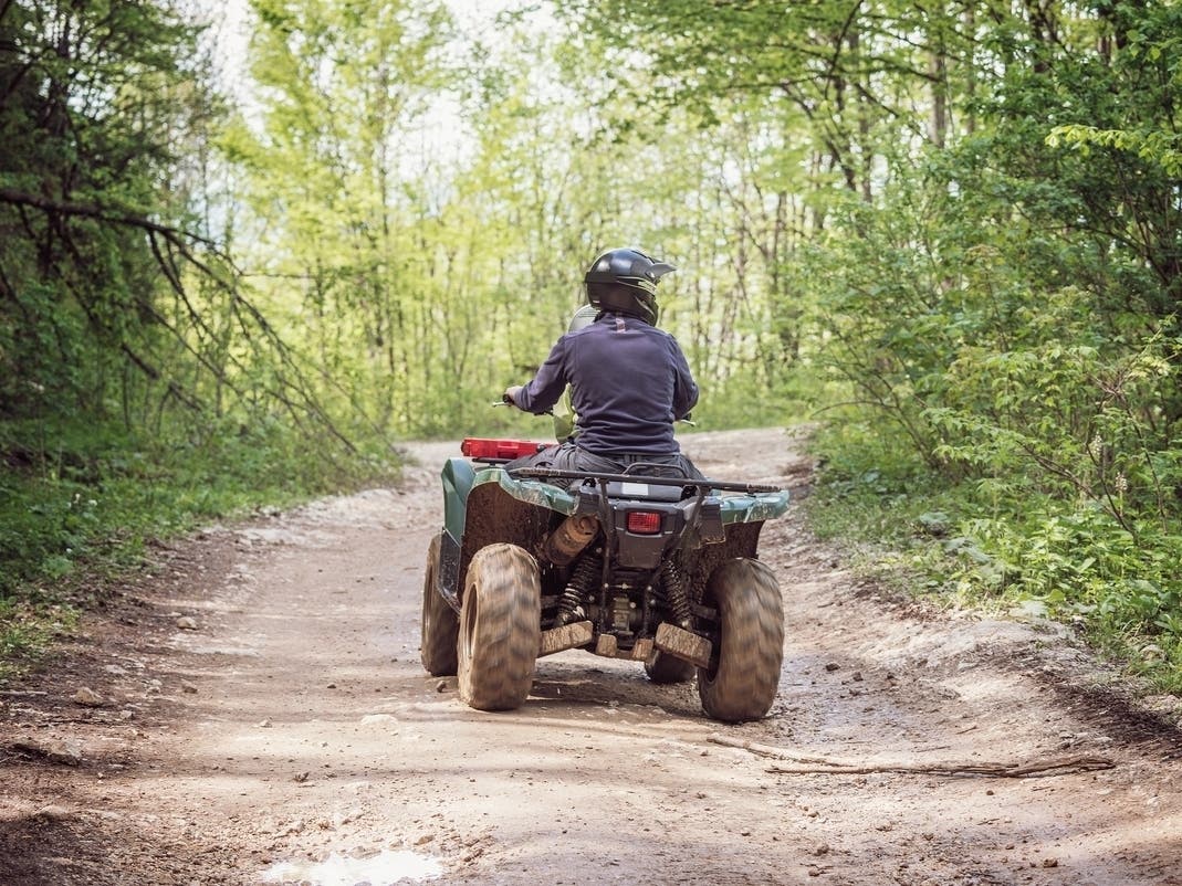 Nashua Woman Crashes ATV Into Tree In Warren, New Hampshire Fish And ...