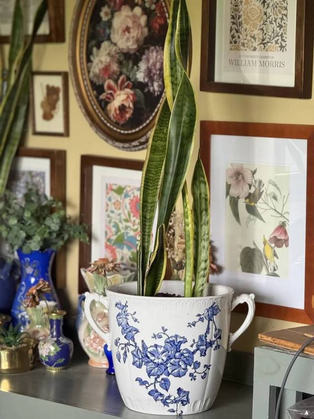 Homeowner shares photo after creating stunning home decor from ...