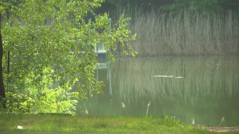 Springfield’s Bass Pond closed for swimming due to bacteria