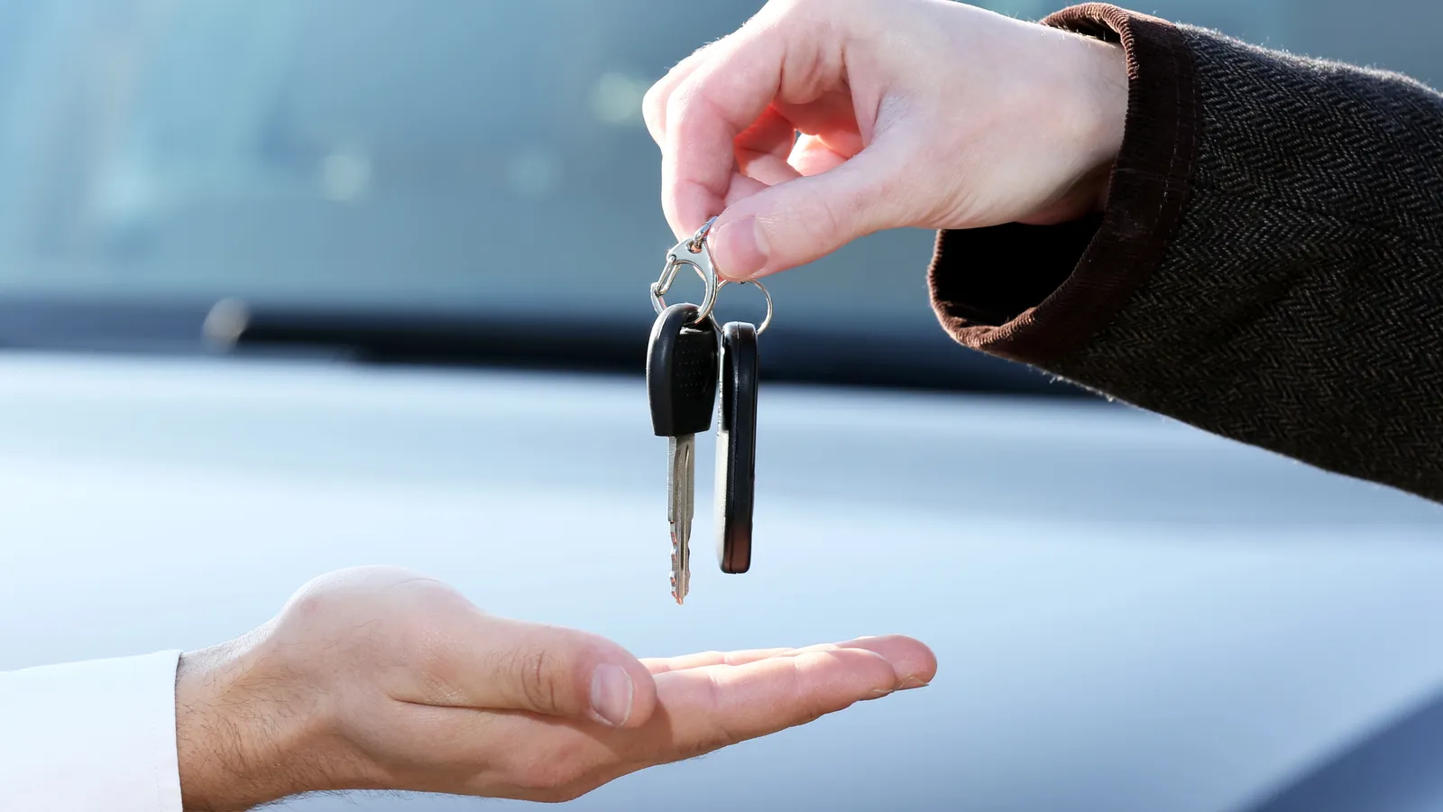Why buying a former rental car might be a smart move