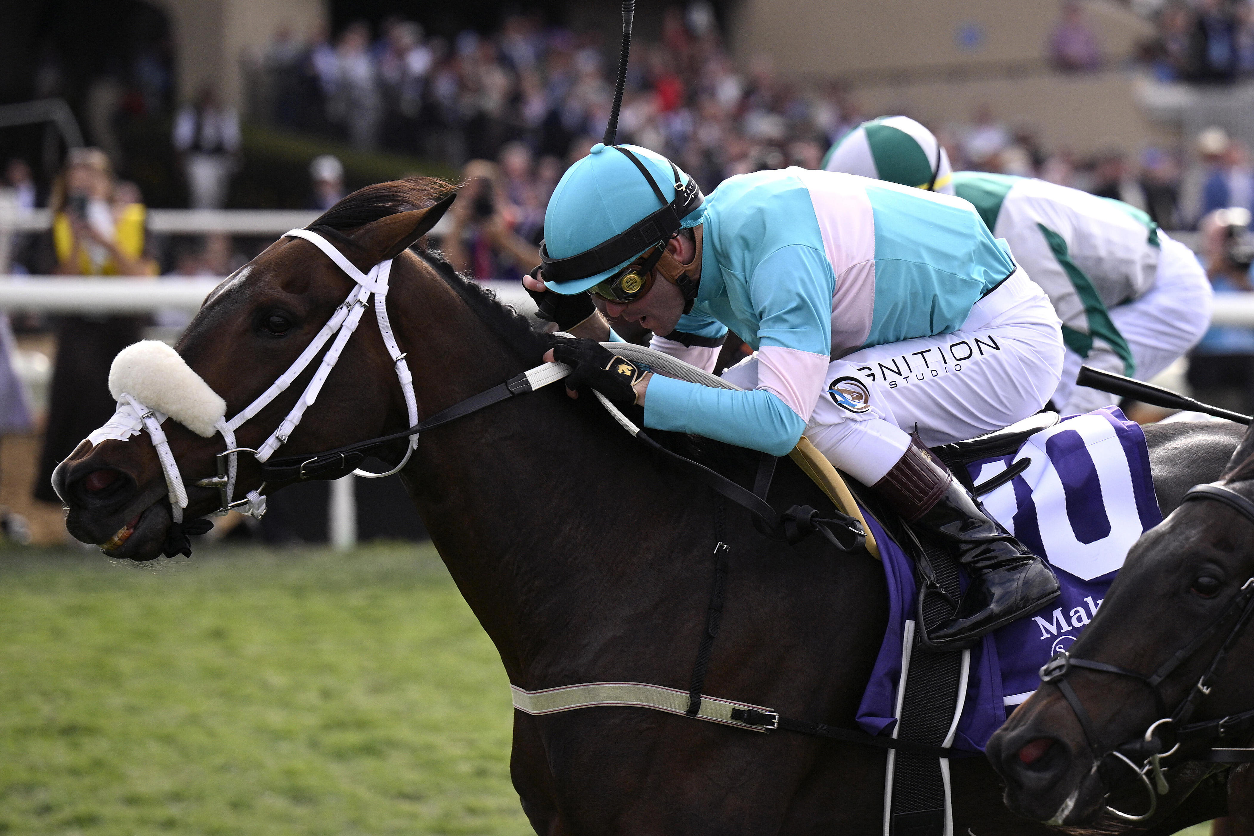 Horse Dies From Racing Injury At Del Mar