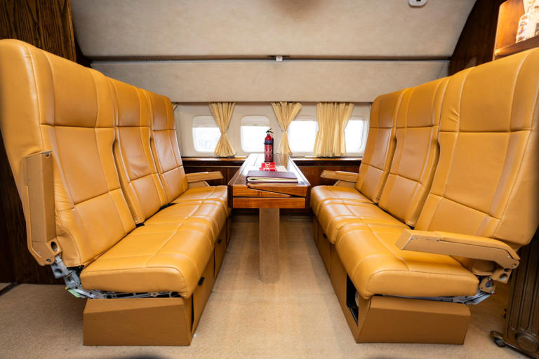 Horse Dies From Racing Injury At Del Mar