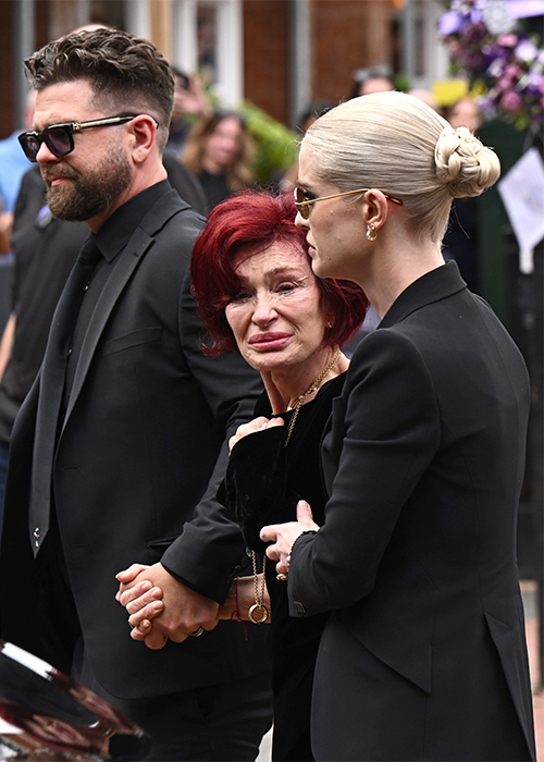 ‘New low’ – Fans left baffled by Rod Stewart’s bizarre AI tribute to ...