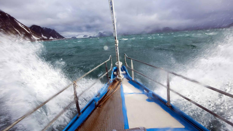 The Kiplinger 25: Our favorite no-load mutual funds