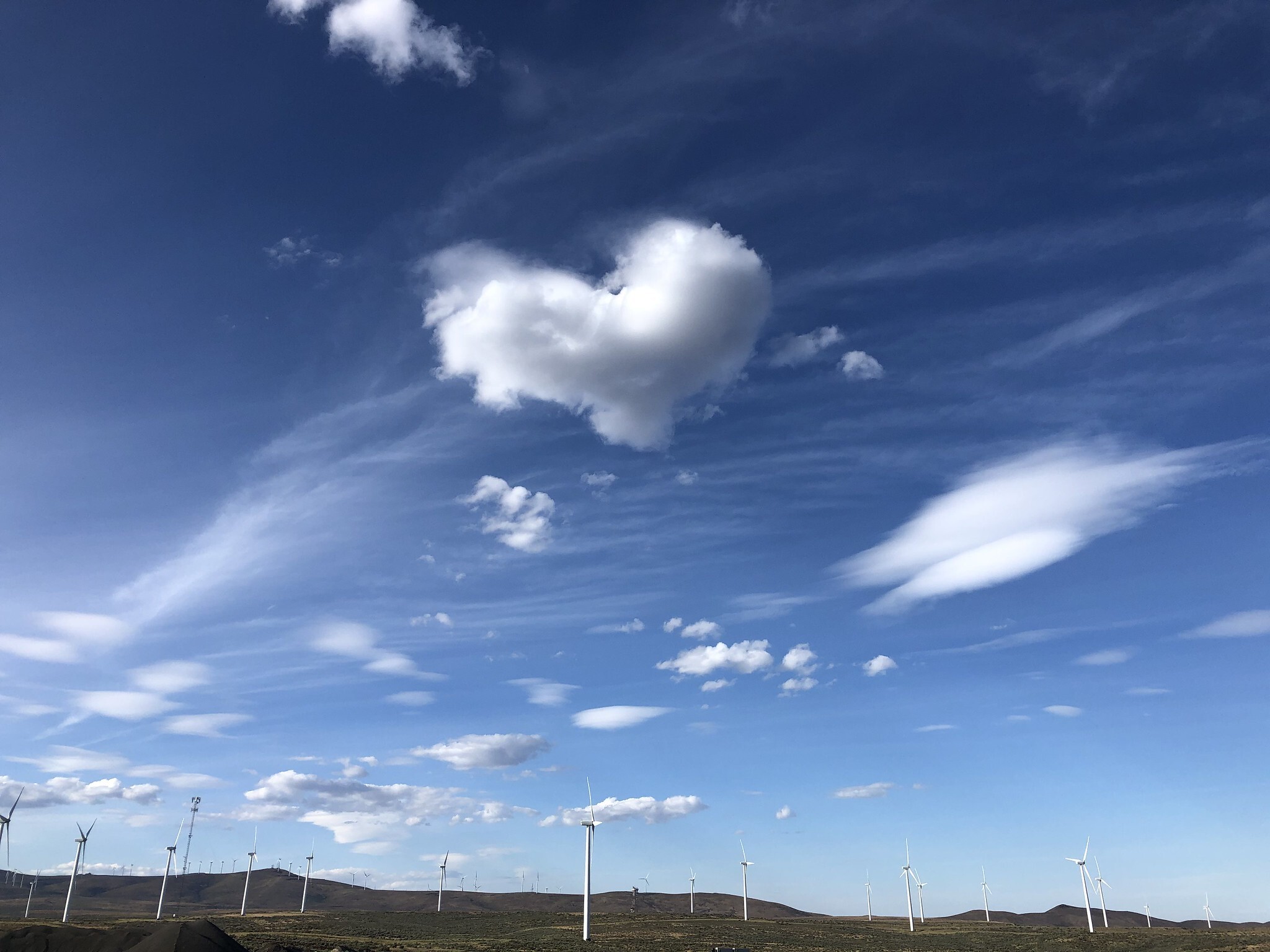 Seattle’s LevelTen Energy to lay off workers amid shrinking support for ...