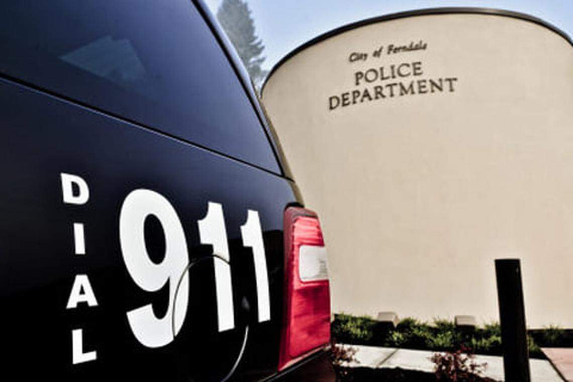 Ferndale man charged with several counts of rape, assault released on bail