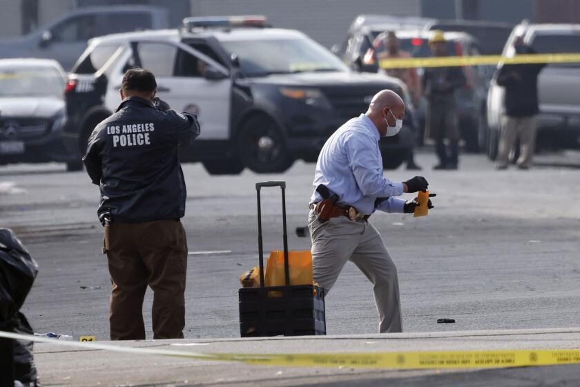 2 dead, 6 wounded in 'senseless' mass shooting at music festival after ...