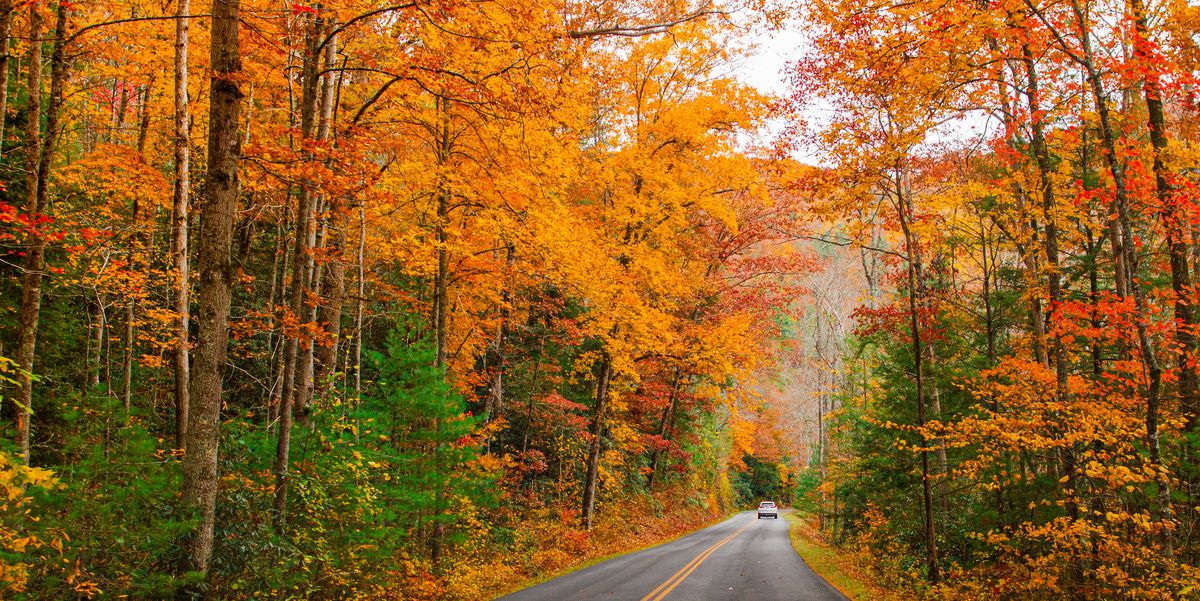 Cozy Season Is Coming! This Is Exactly When Fall Starts in 2025