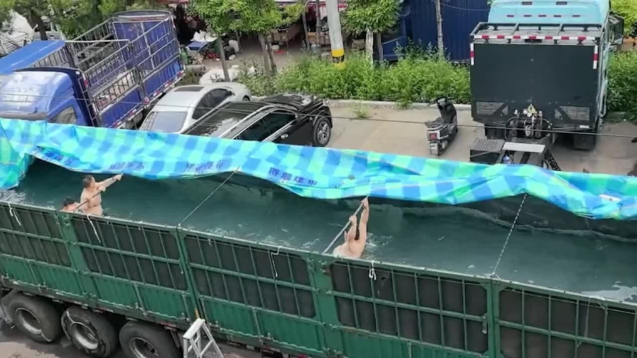 Men cool off in makeshift pool inside truck bed