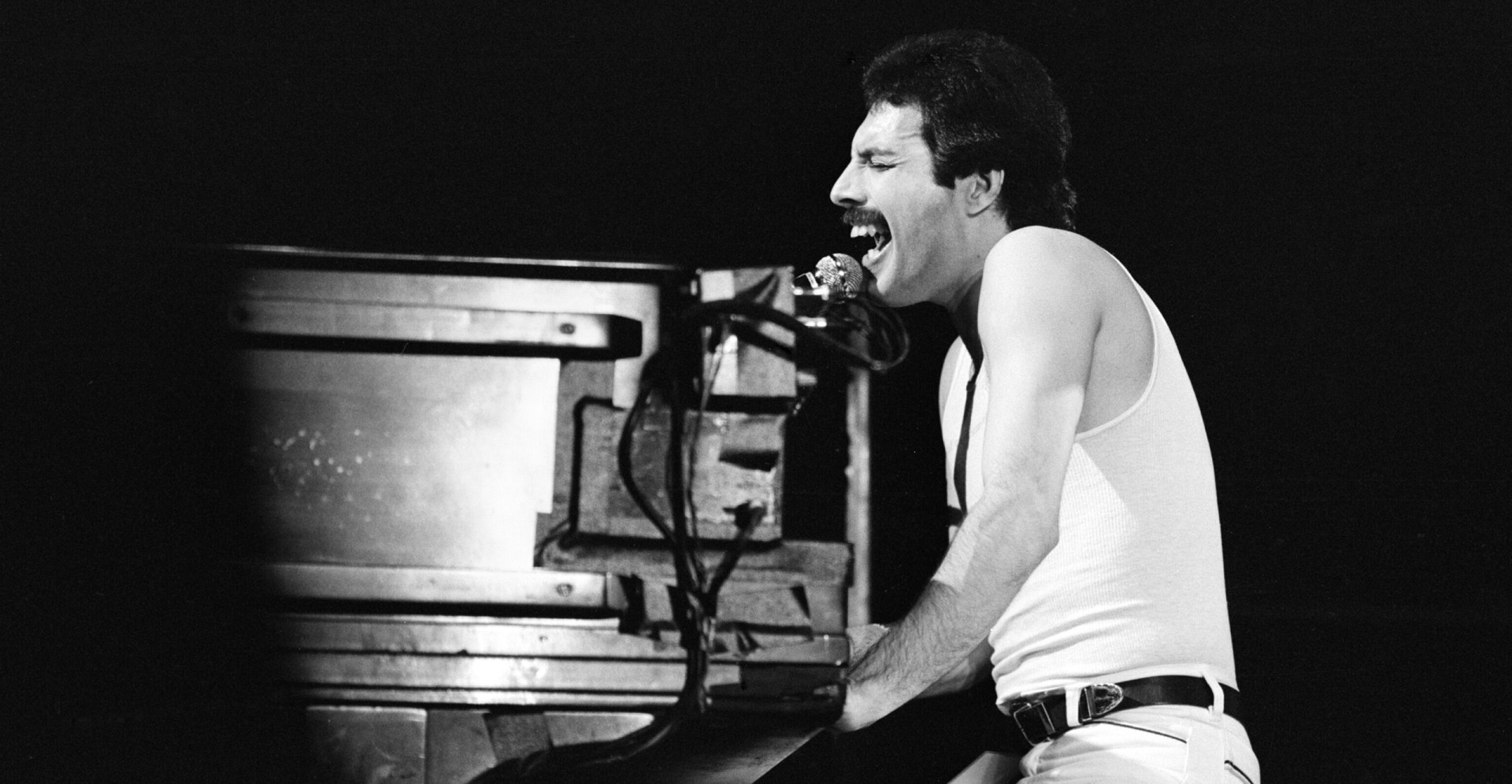 Western celebrities born or raised in India