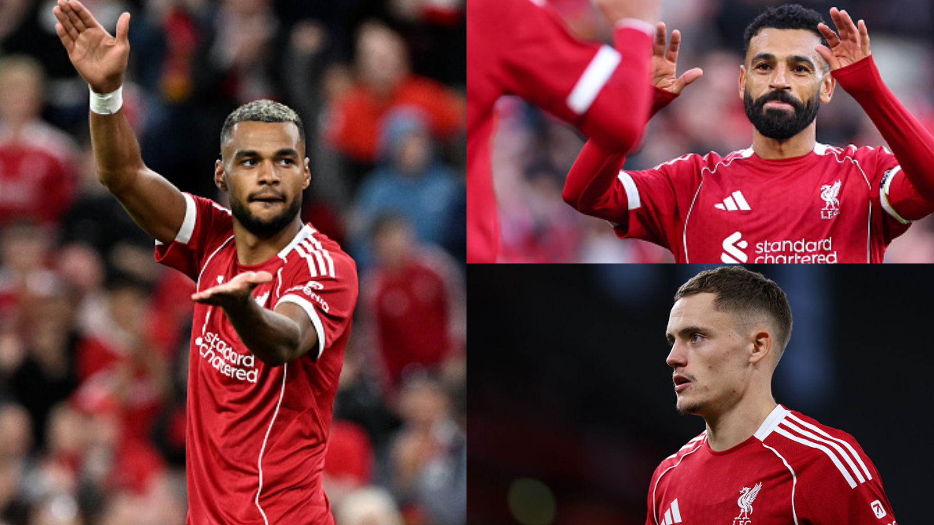 Cody Gakpo bags brace and own goal! Liverpool earn second win over ...