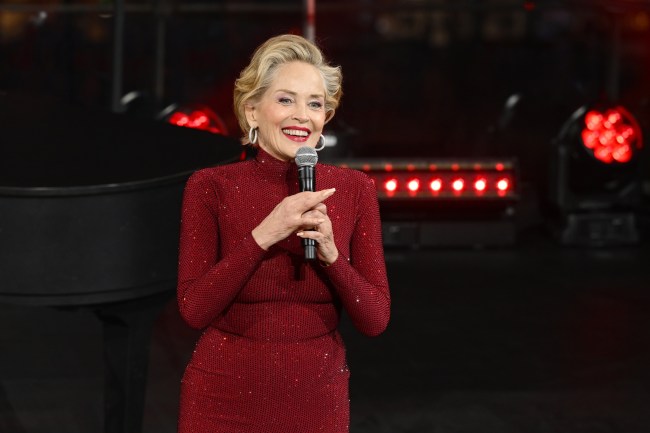 Sharon Stone Wants to Portray Phyllis Diller in Biopic: ‘I'm Desperate ...
