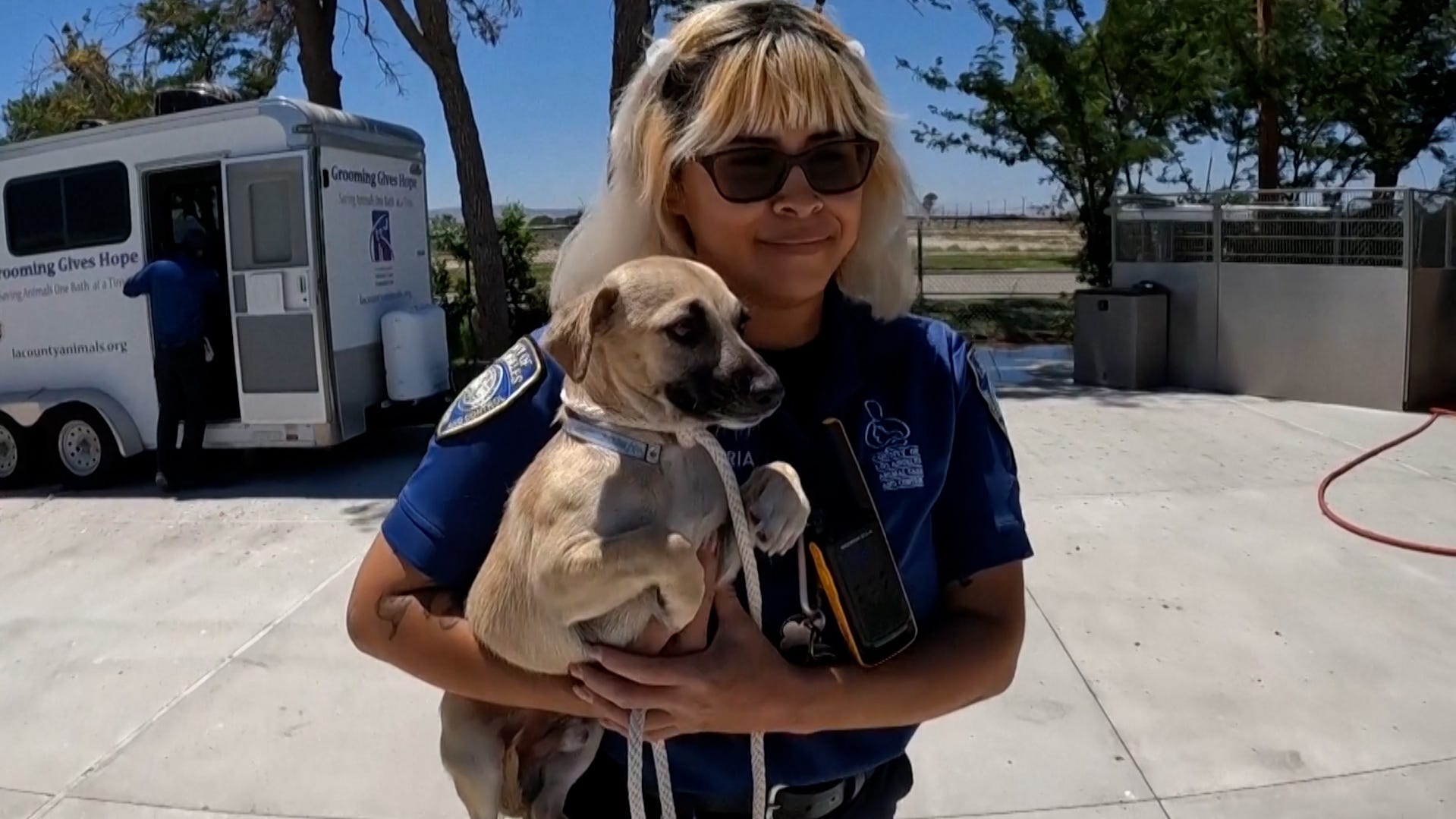 Watch: LA County shelters pets left behind after immigration raids