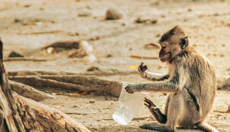 'Plastics Crisis' Costs $1.5T Annually, Study Says: 'World Cannot ...