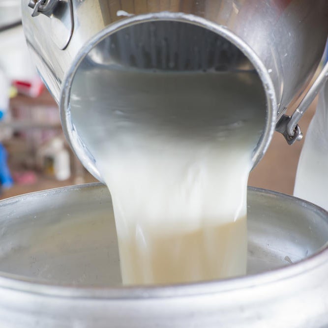 Florida officials warn about risks of raw milk after 21 people sickened