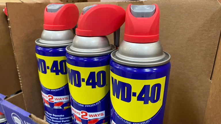 Using WD-40 On Plastic Is A Big Mistake And Here's Why