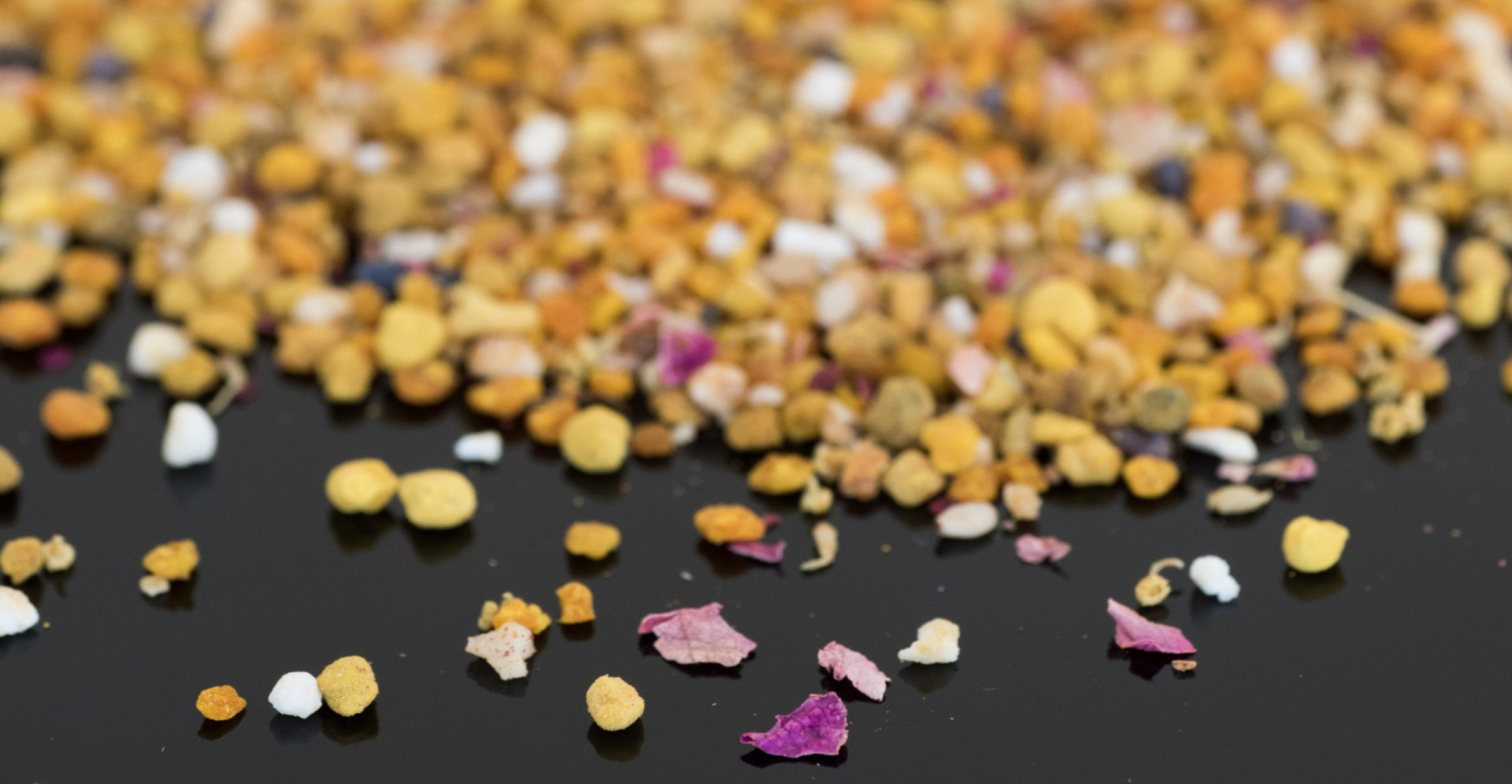 What is manna, the edible substance described in the Bible and the Quran?