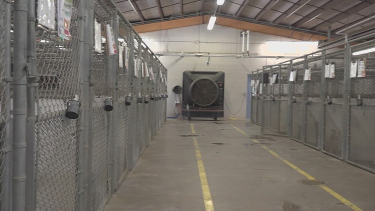Bell County Animal Advocates push for increased shelter funding as ...