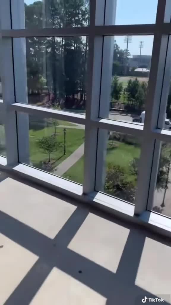 Balancing Law School and a Full-Time Art Business: My Real Routine