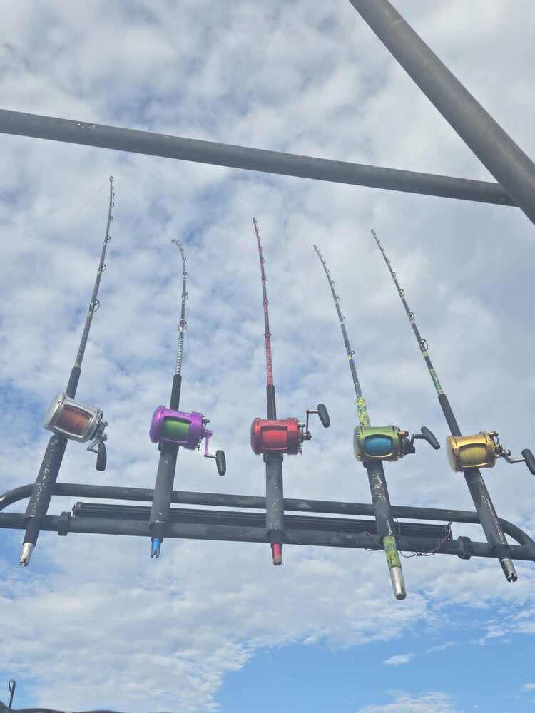 South Texas angler lands near-historic massive hammerhead shark