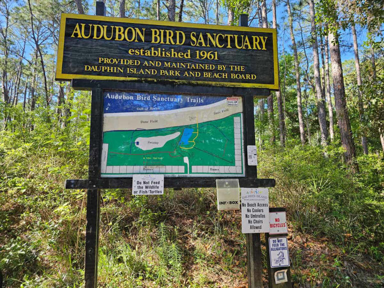 Audubon Bird Sanctuary - Dauphin Island