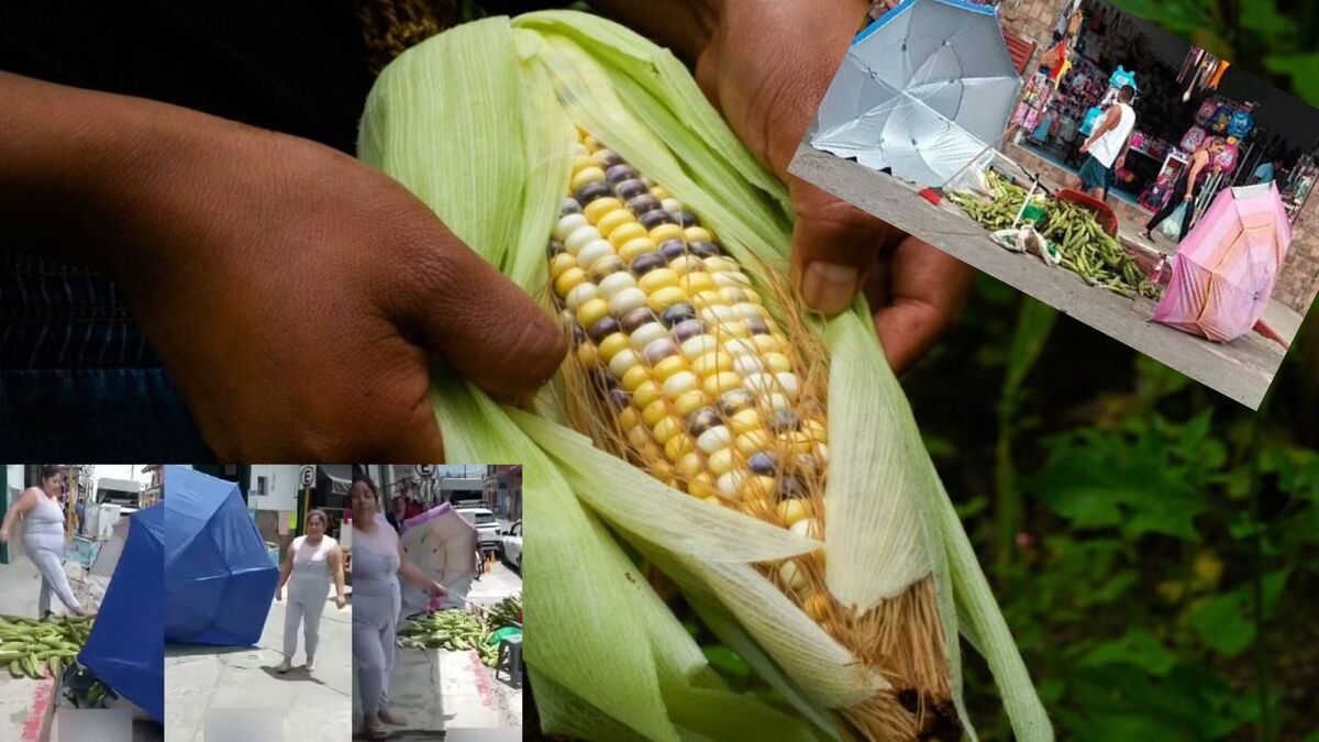 Lady Elotes: Mujer DESTRUYE puesto de elotes pues "tababa su local" | VIDEO