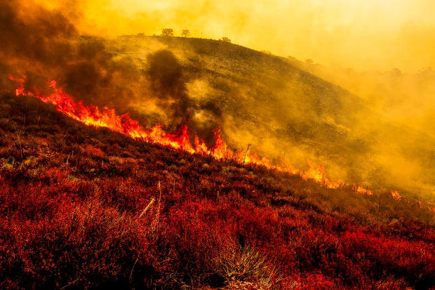 Gifford Fire in California's Central Coast reaches "mega fire" status ...